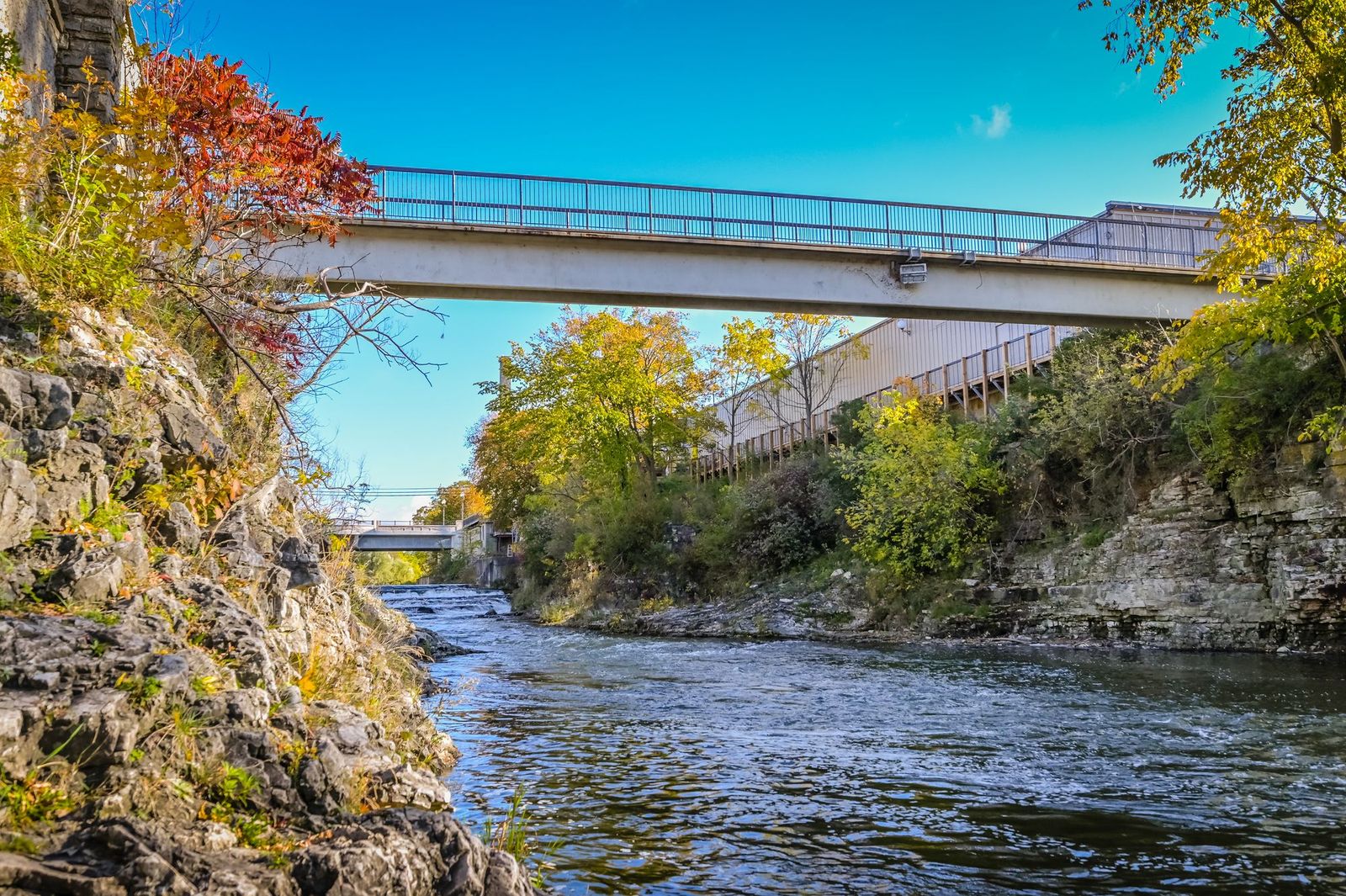 Top Reasons to Live in Fergus, Ontario